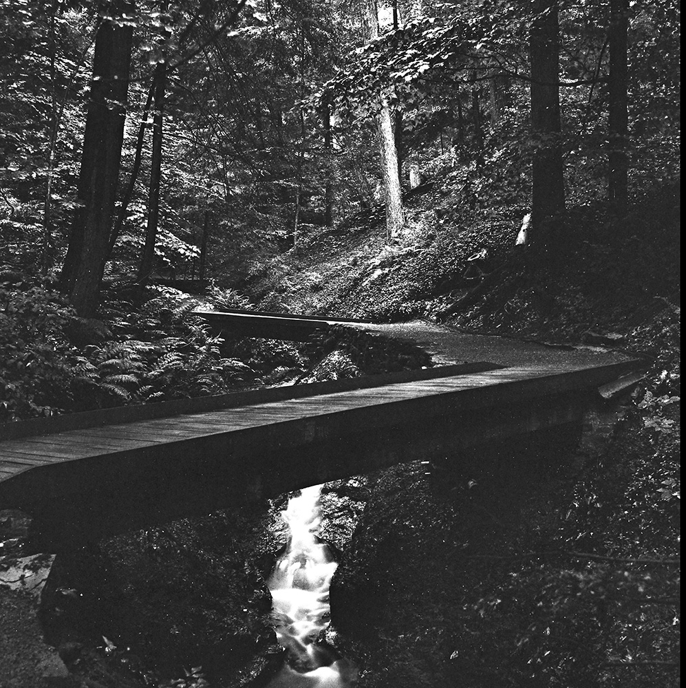 “Enough Said” by Steve Finbow – Pine Hills Review