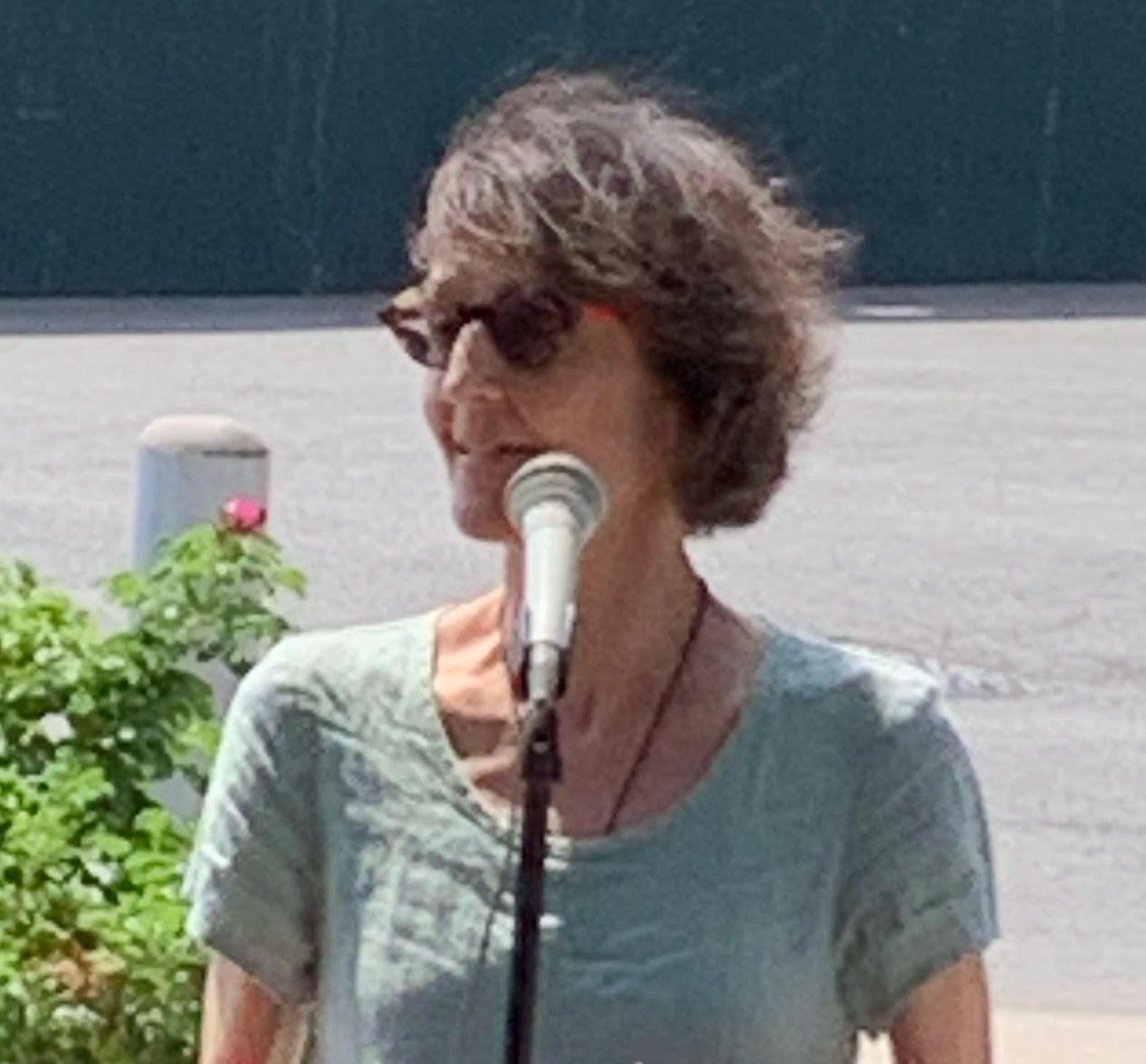 “Love Poem With Vacuuming In It” by Lisa Andrews – Pine Hills Review